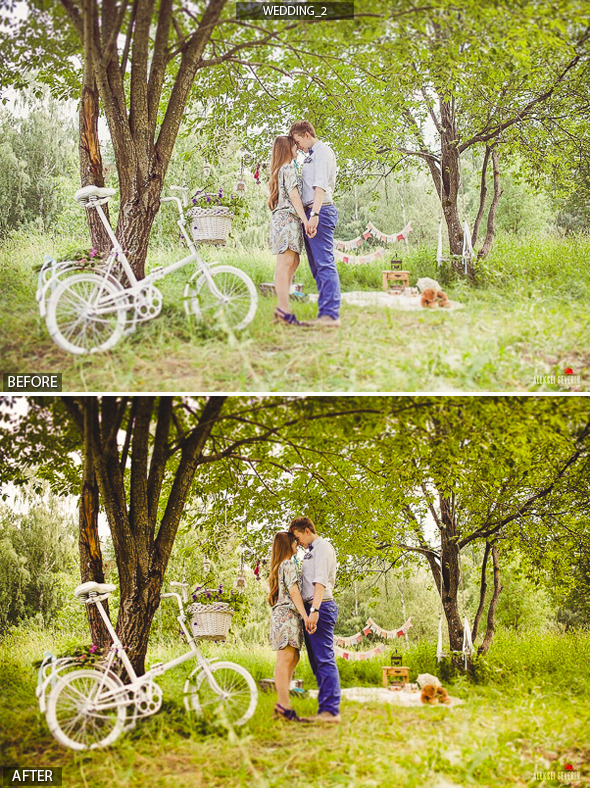 3-in-1 Pro Wedding Bundle by zvolia | GraphicRiver