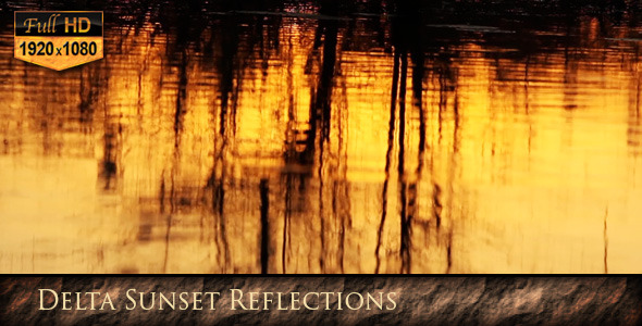 Delta Sunset Reflections by cubx | VideoHive