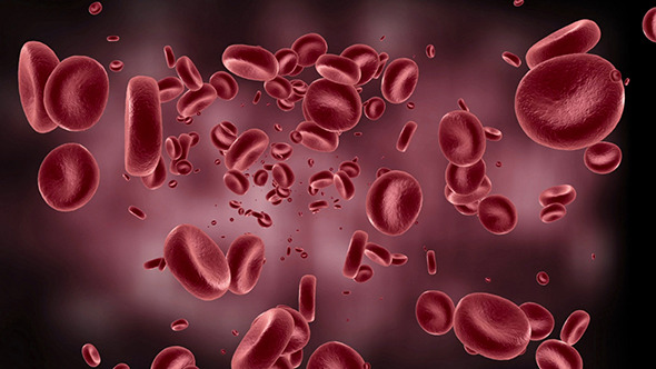 Red Blood Cells In Artery by UltraHDenis_new | VideoHive