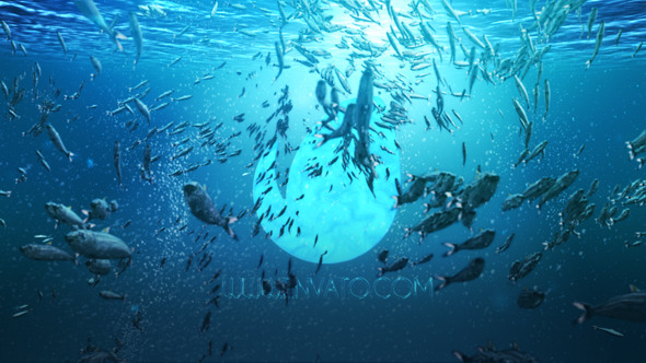 Fish Cube by jebun3d | VideoHive