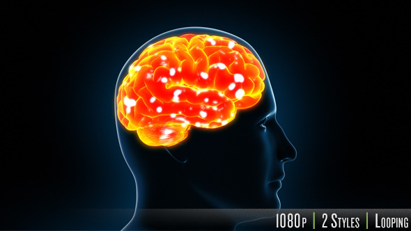 Human Brain X-Ray by butlerm | VideoHive