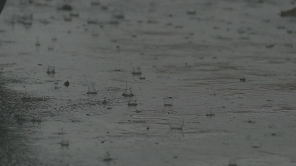 Rain by Nuwanhaha | VideoHive