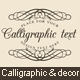 Calligraphic design elements by Designer_things | GraphicRiver