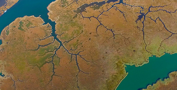 Swamp River Delta by mkstock | VideoHive