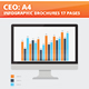 CEO Infographics Design 17 Pages by mamanamsai | GraphicRiver