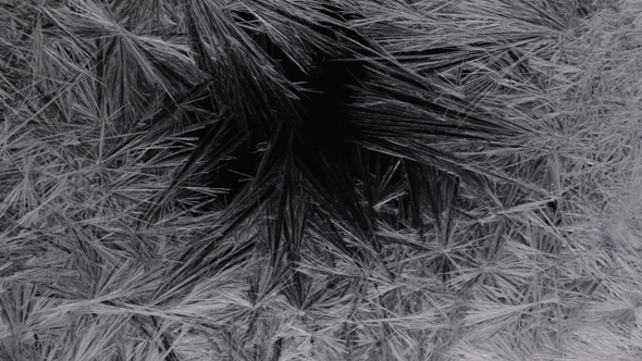 Ice Freezing Pattern by Fermu | VideoHive