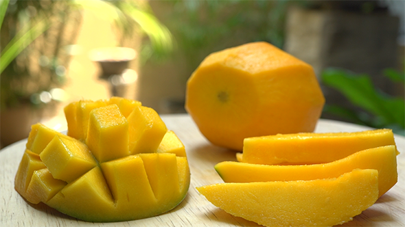 Vilad Bud Mango by ayeshafernando | VideoHive