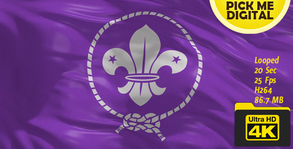 Scout Emblem Flag 4K by PickmeDigital | VideoHive