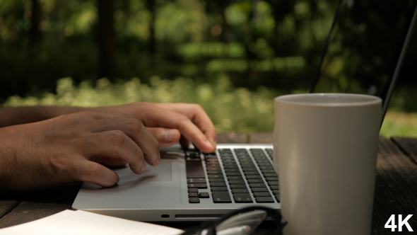 Freelancer Man Working On Laptop In Garden by Nuwanhaha | VideoHive