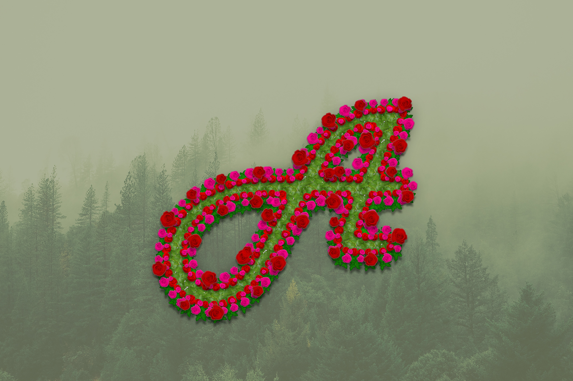 Rose Flowers Text Effect Photoshop Action by odbrand | GraphicRiver