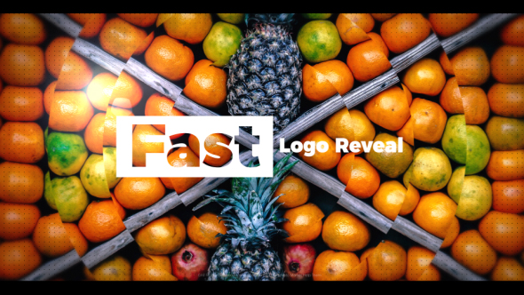 Fast Logo by Motion-Bear | VideoHive