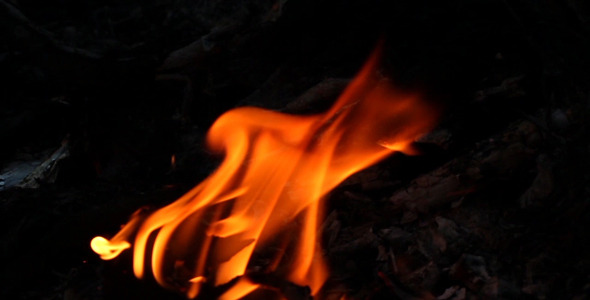 Slow Motion Fire Flame by azamshah72v | VideoHive