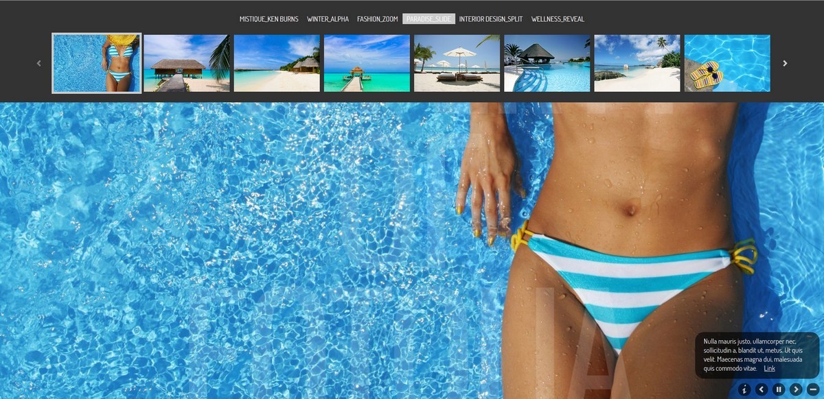 jQuery MultiTransition Gallery Sliders Collection by Tean | CodeCanyon