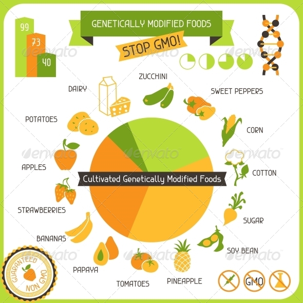 Information Poster Genetically Modified Foods | GraphicRiver