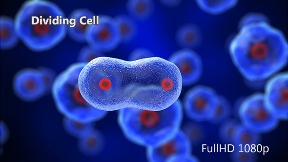 Dividing Cell by timarbaev | VideoHive