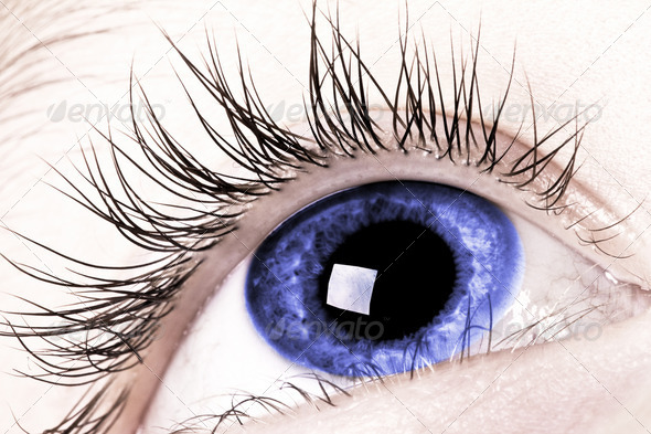 Anatomy of the eye Images - Search Images on Everypixel