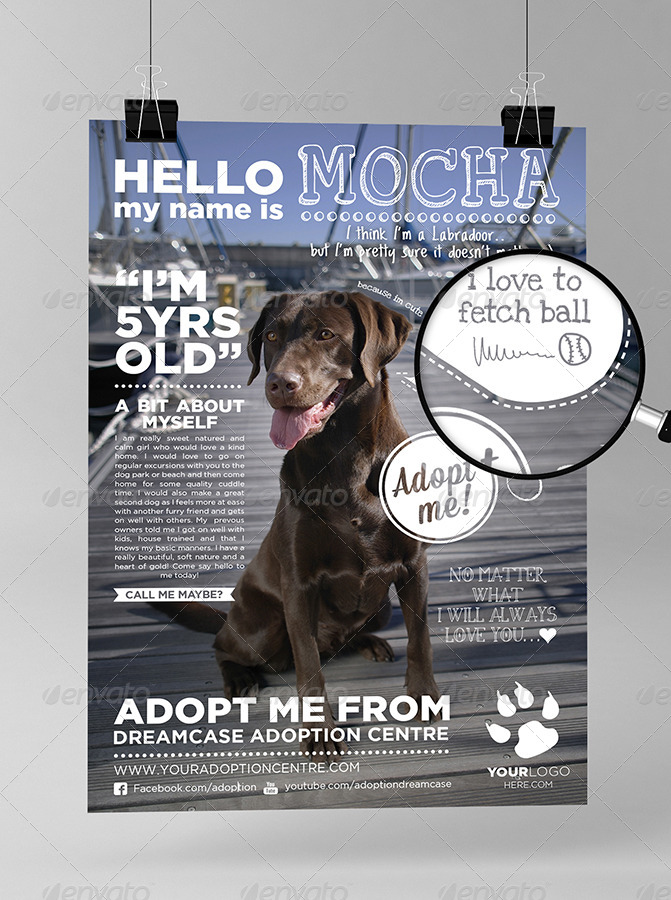 Animals - Adopt Me Flyer by Dreamcase | GraphicRiver